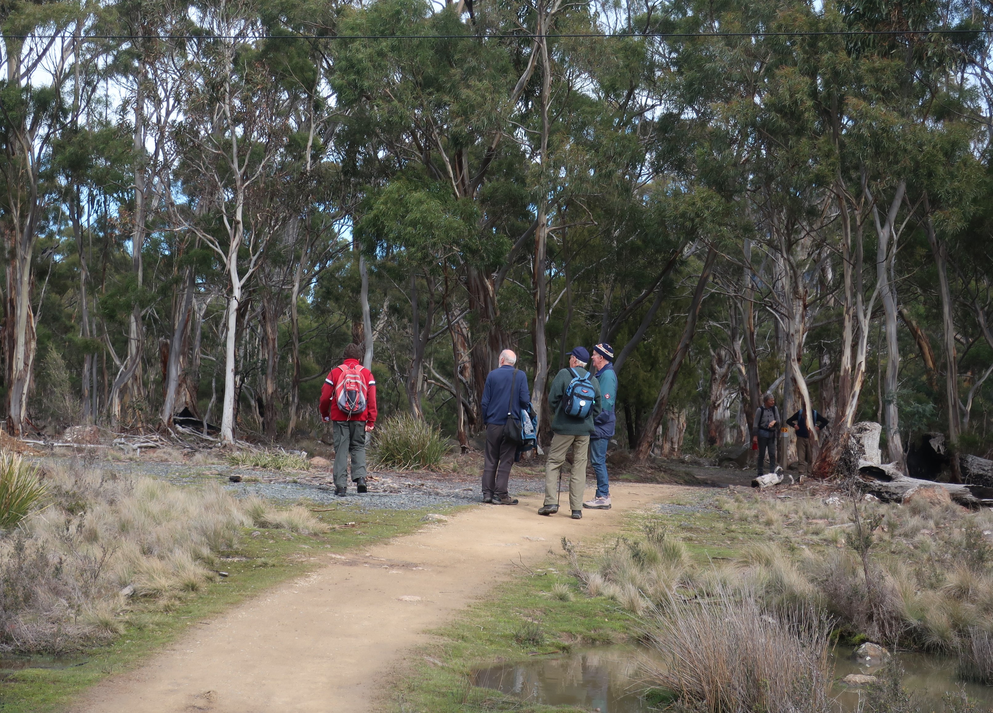 Ramblers : Knocklofty Reserve