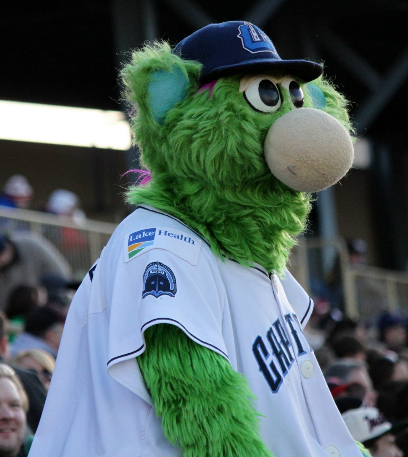 Posted by Wandering Writer at 7:00 AM