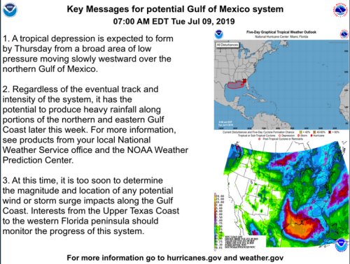 Avian Flu Diary: NOAA/NHC Key Messages On Gulf Disturbance