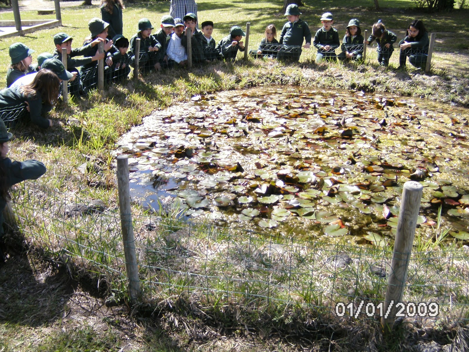 QUOD ERAT - Externato Flor do Campo: 1.º Ano