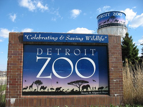 Family Fun in Metro Detroit: Detroit Zoo!!