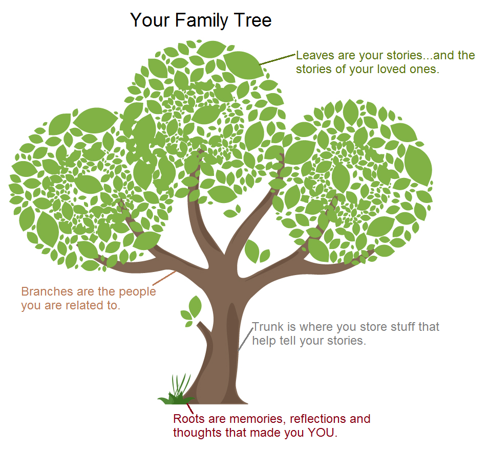 trees: The Story Of A Tree