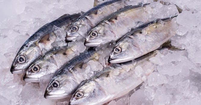 Cara Mempertahankan Kesegaran Ikan - Lalaukan Cara Mempertahankan Kesegaran Ikan - Lalaukan