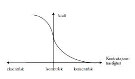 Grøt: desember 2016