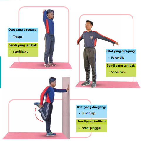 All about life: Kecergasan (Kelenturan)