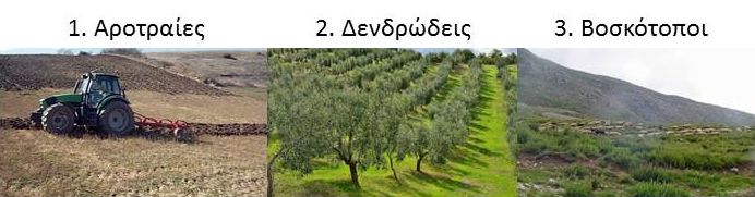 ΣΥΝΔΕΣΜΟΣ ΓΕΩΠΟΝΩΝ ΝΟΜΟΥ ΙΩΑΝΝΙΝΩΝ: Η ΝΕΑ ΚΑΠ 2014-2020 ΜΕ ΑΠΛΑ ΛΟΓΙΑ