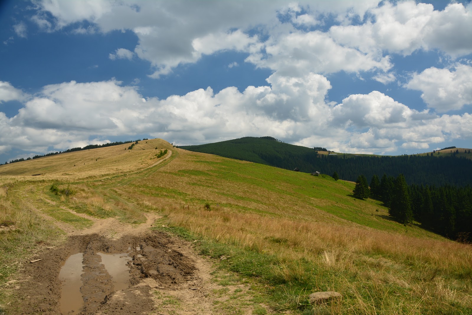 Munte, fotografie si nu numai: Muntii Stanisoarei: traseu Borca ...
