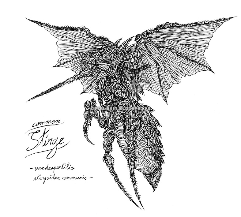 Zipou-shin: Dungeons & Dragons : creatures fanart N° 11 - Stirge