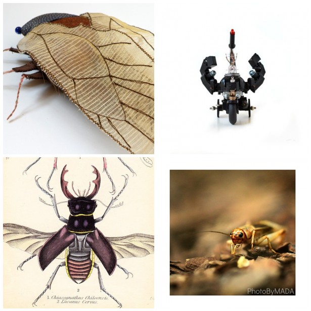 Fishes Make Wishes: Monday moodboard - Insects