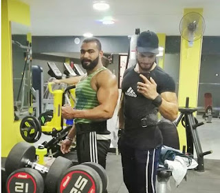 world bodybuilders pictures: misri bodybuilder emad dawood solo and ...