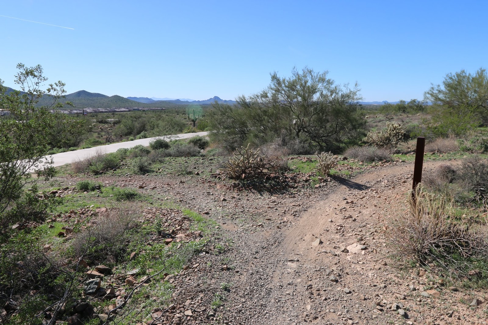gjhikes.com: Ocotillo