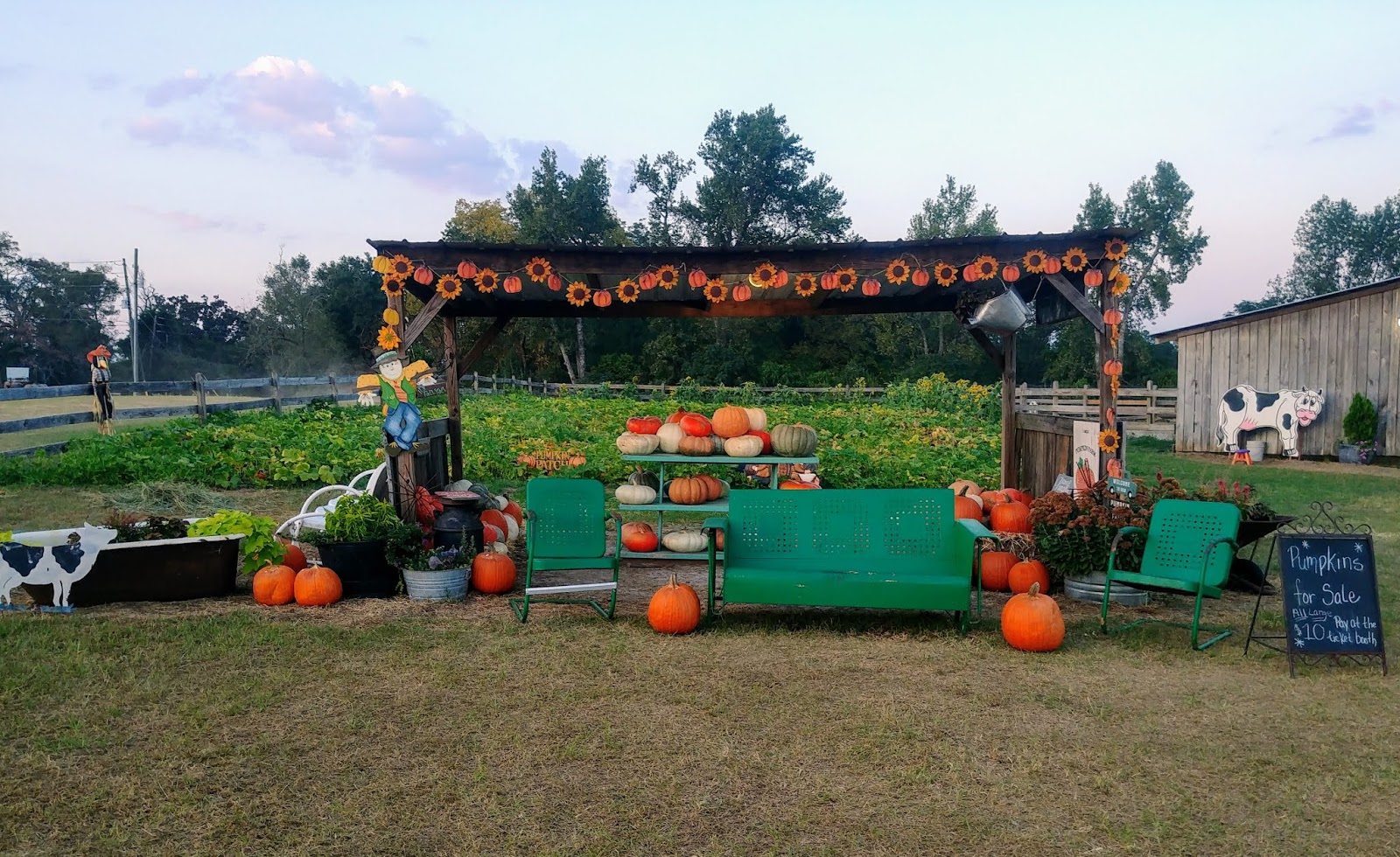 Another Mile Another Destination Blog: Steed’s Dairy Farm and Corn ...