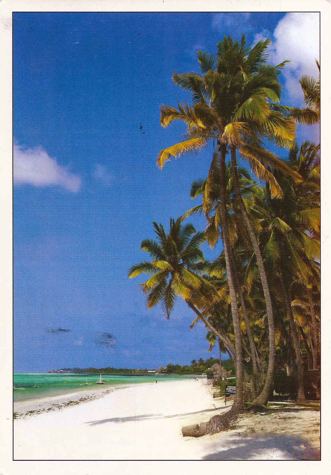 A Journey of Postcards: Jambiani beach, Zanzibar | Tanzania
