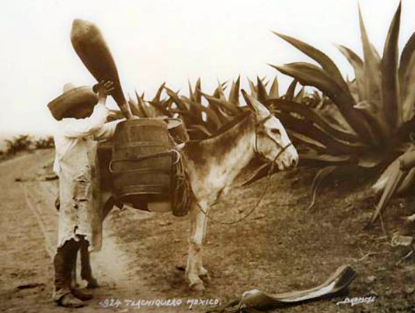 El Bable: Una vez más, hablemos del Pulque