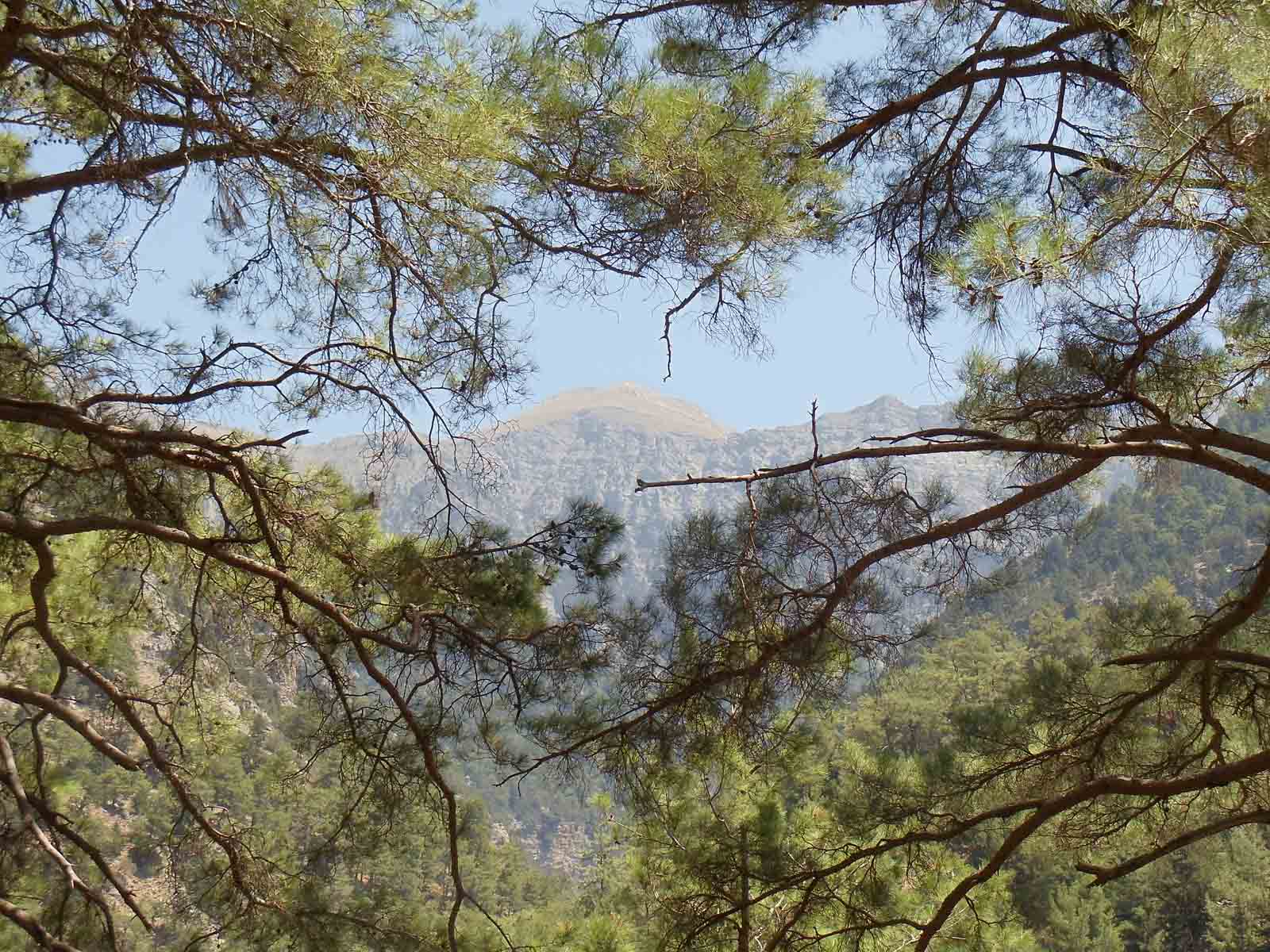 Με τον ΦΟΠ στα βουνα: ΦΑΡΑΓΓΙ ΣΑΜΑΡΙΑΣ (φωτο)