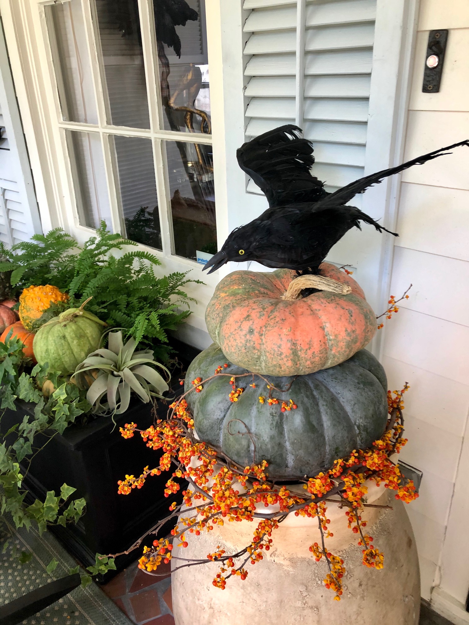 The Uptown Acorn: SPOOKTACULAR October {Attack of the Crows}