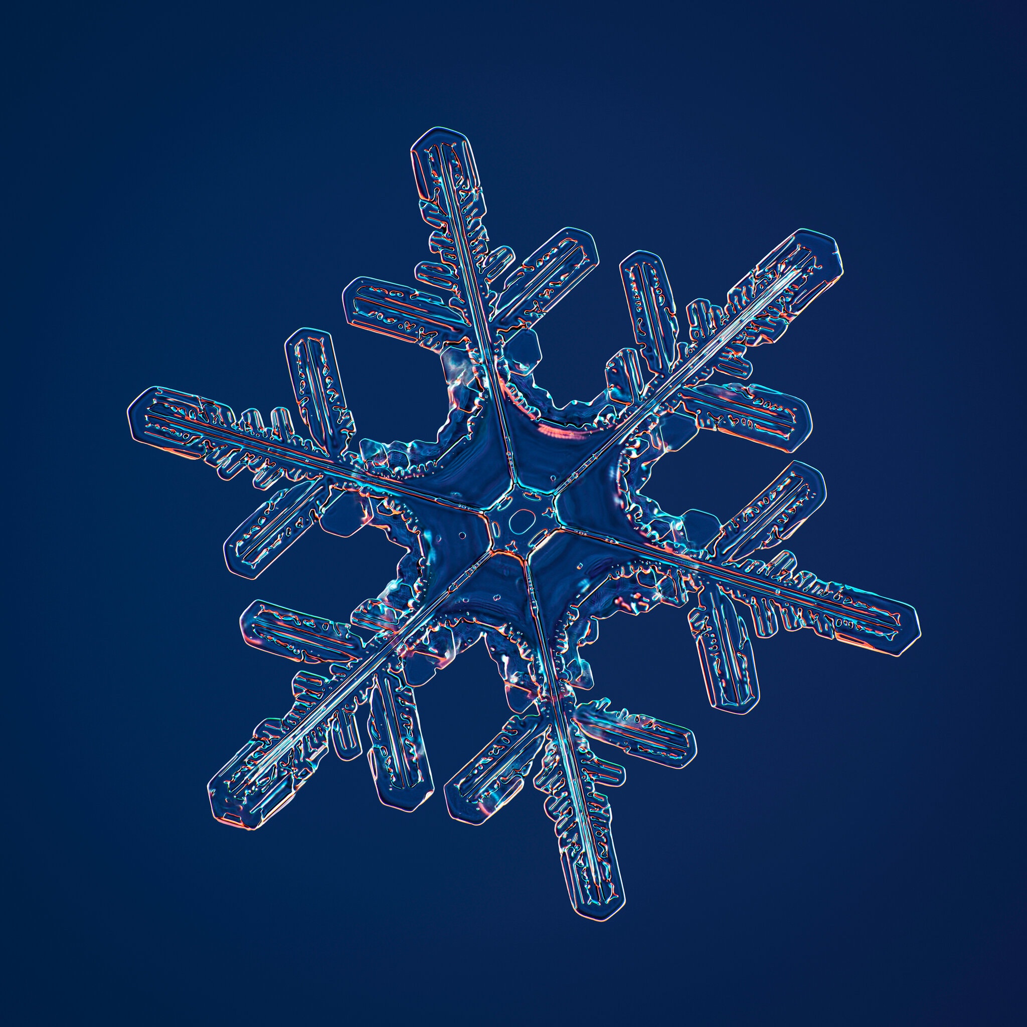bensozia: Nathan Myhrvold's Snowflake Photos
