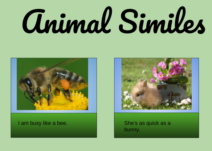 Mayshar @ Panmure Bridge School: Animals Similes