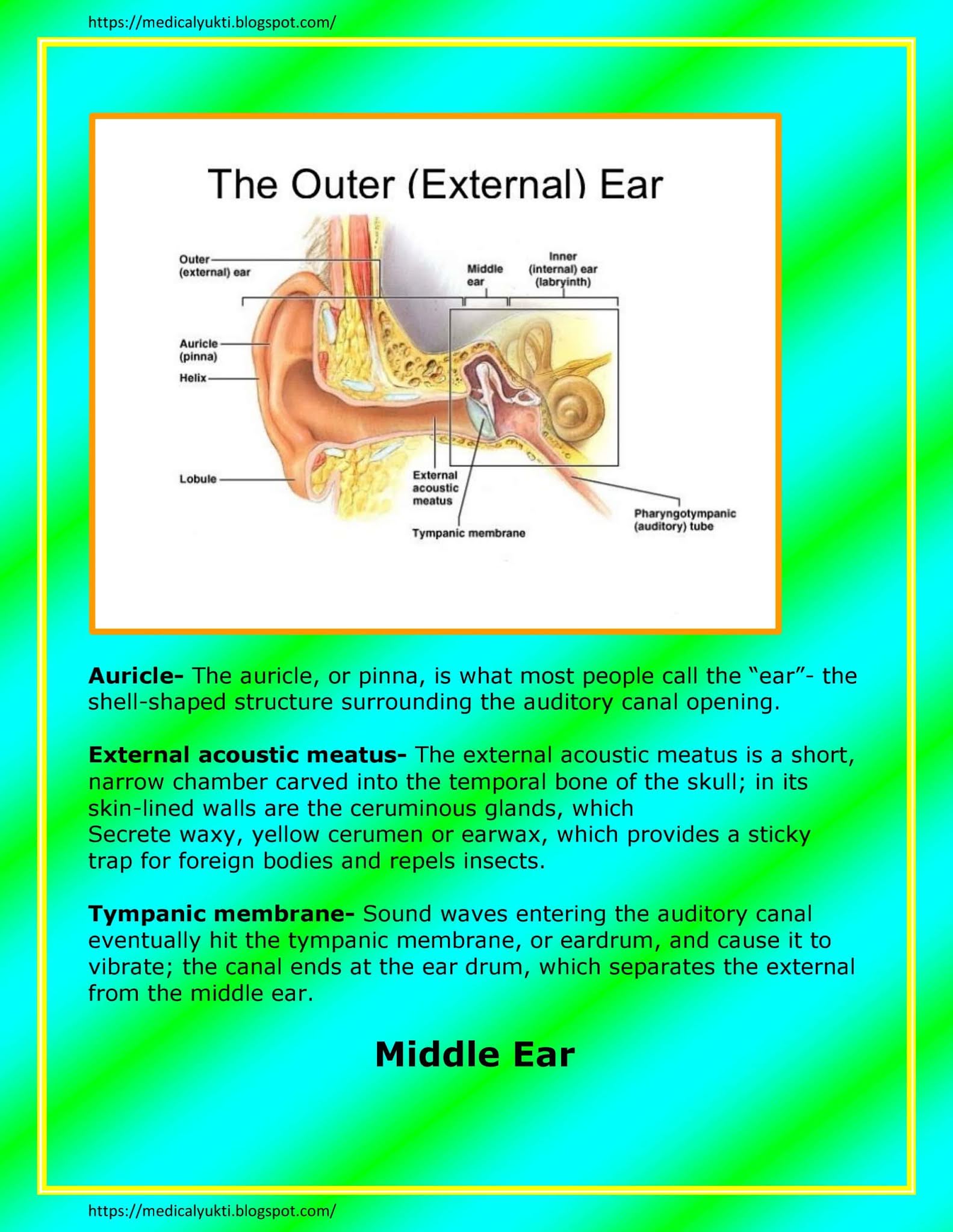 Special Senses Anatomy Physiology Medical Yukti Special Senses Anatomy Physiology Medical Yukti