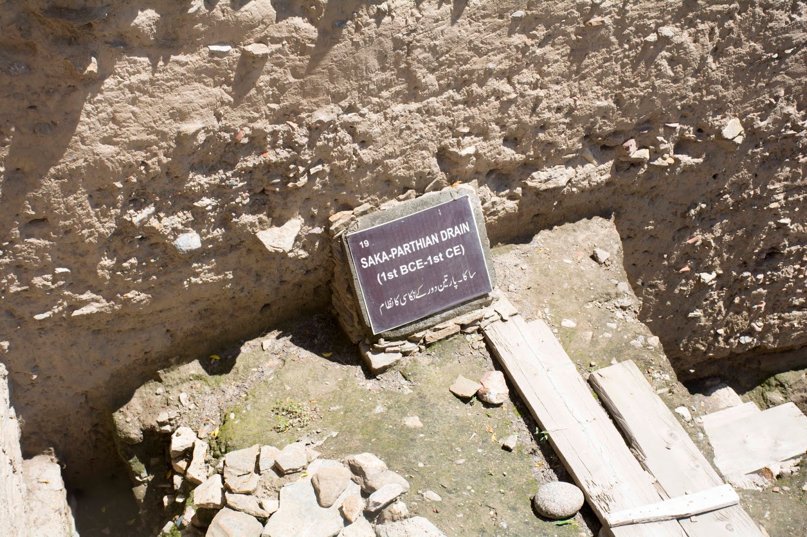 Ali Usman Baig : The Ancient Bazira of Alexander (2019)