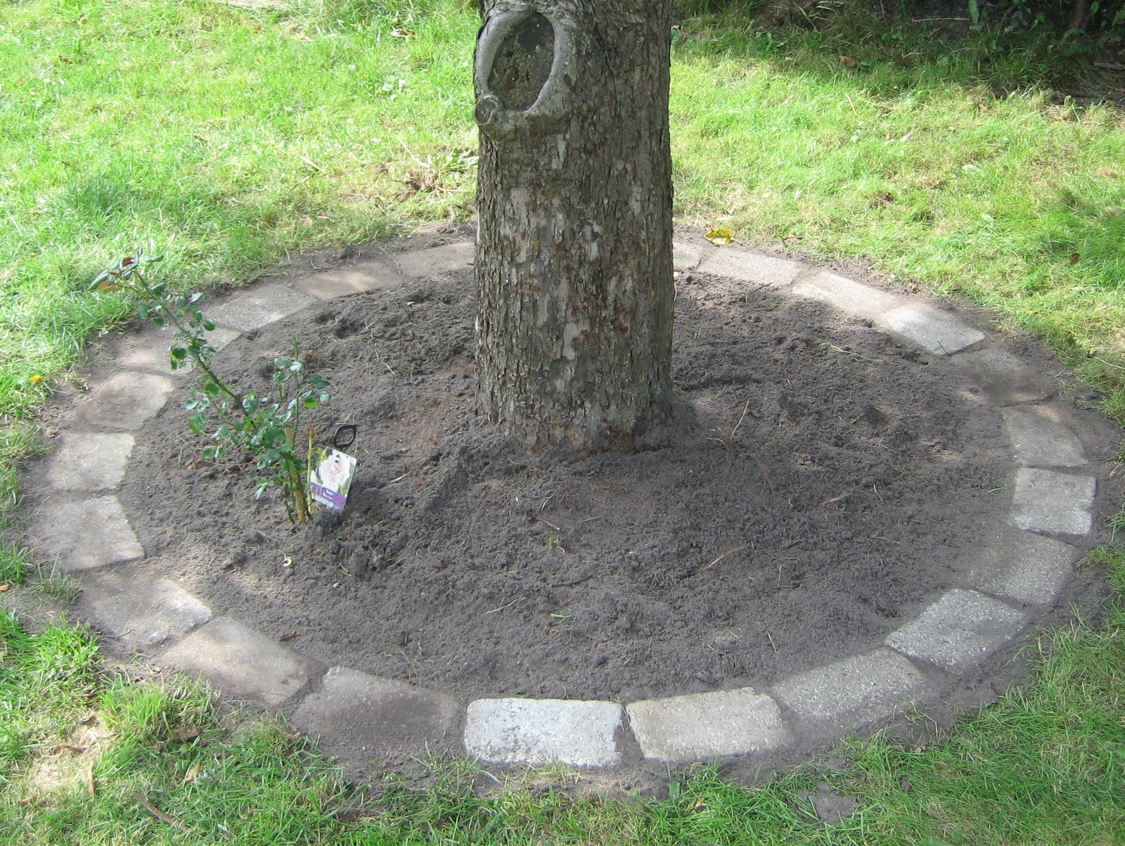 Haven i Bjergene - Signes Vals: Et gult hjørne og et rundt bed