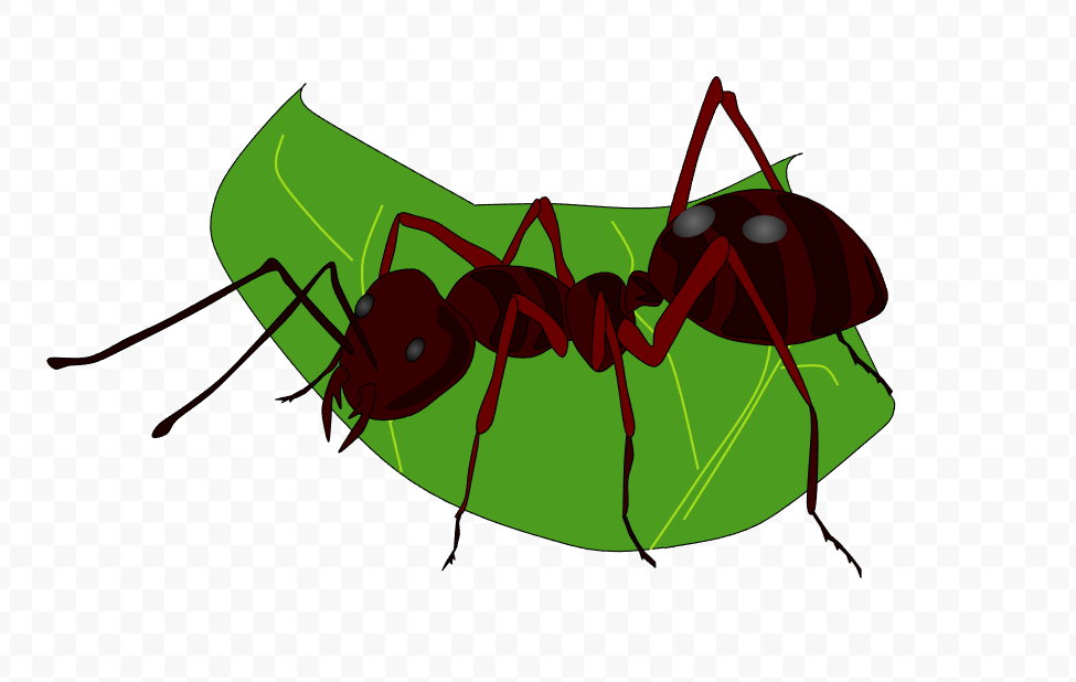 I LOVE TEACHING IDEAS