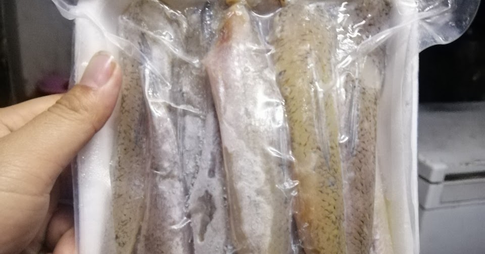 Cá bống biển - Cá ngon cho nhà hàng,khách sạn, quán cơm bình dân