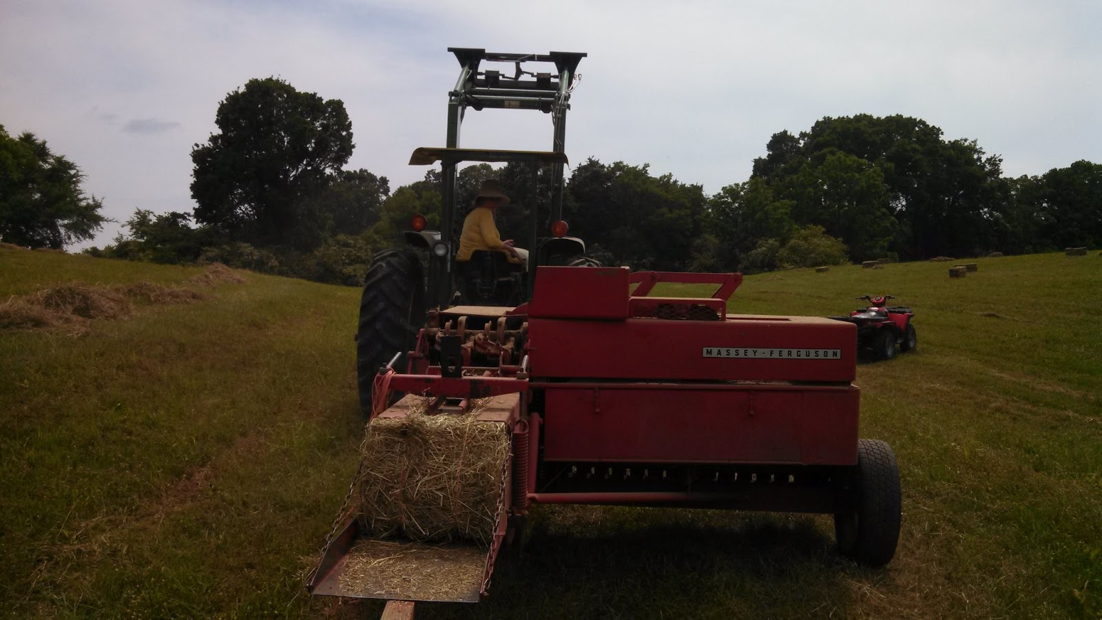 Between The Fenceposts