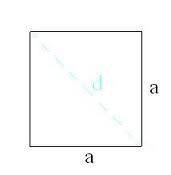 Rumus Persegi – Media Masyarakat