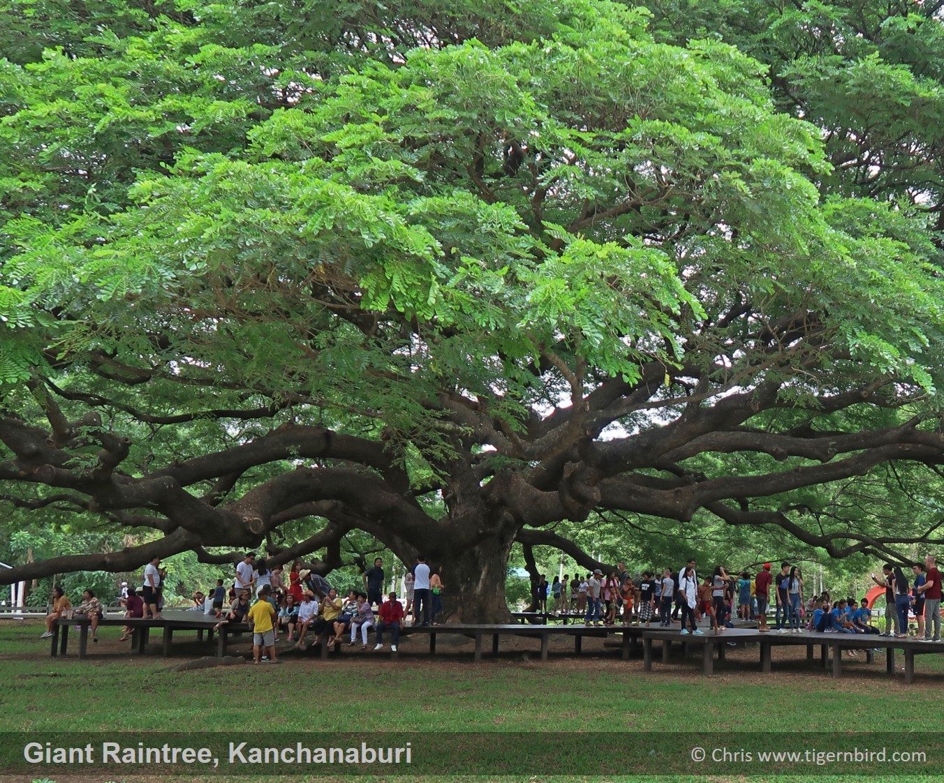 Life in Kingdom of Thailand: Exploring the sleepy town of Kanchanaburi ...