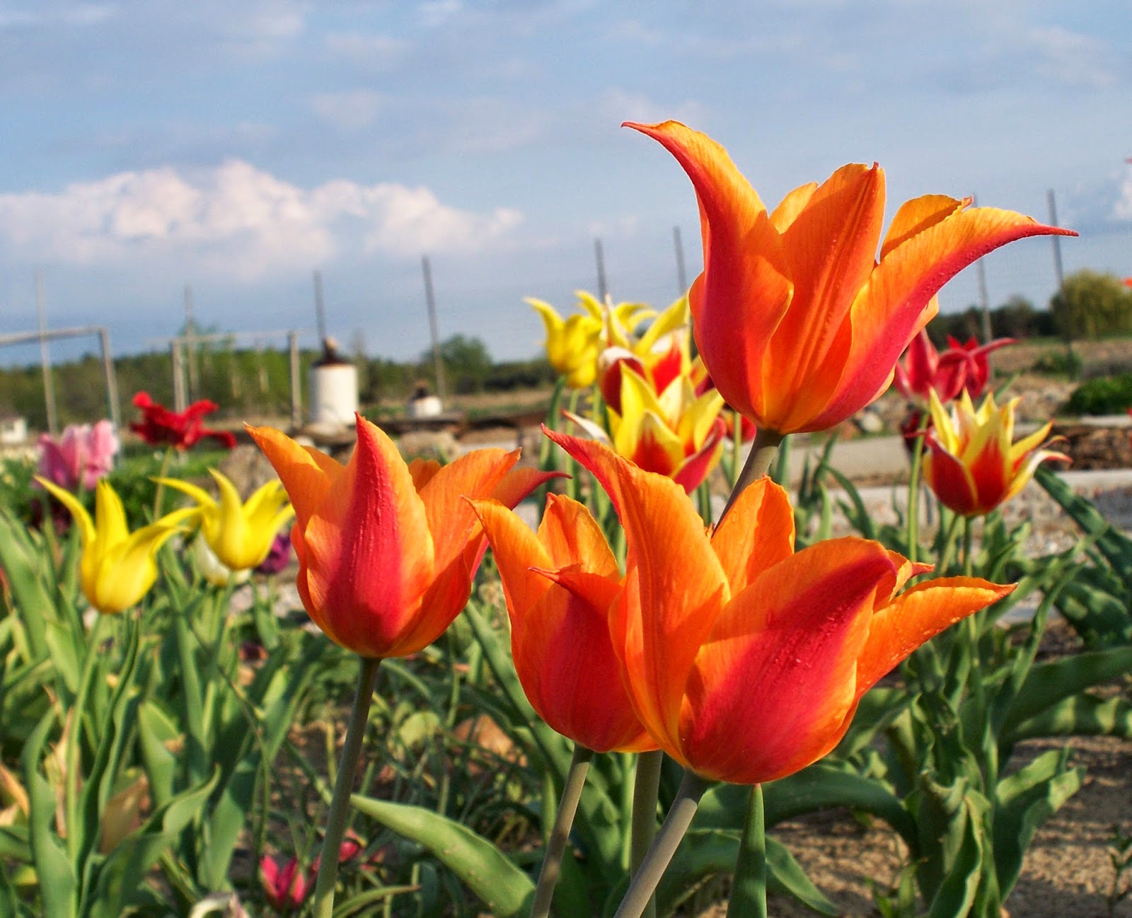 HD Wellpaper 2014,HD photo,new wellpaper,decktop wellpaper,image | Free ...