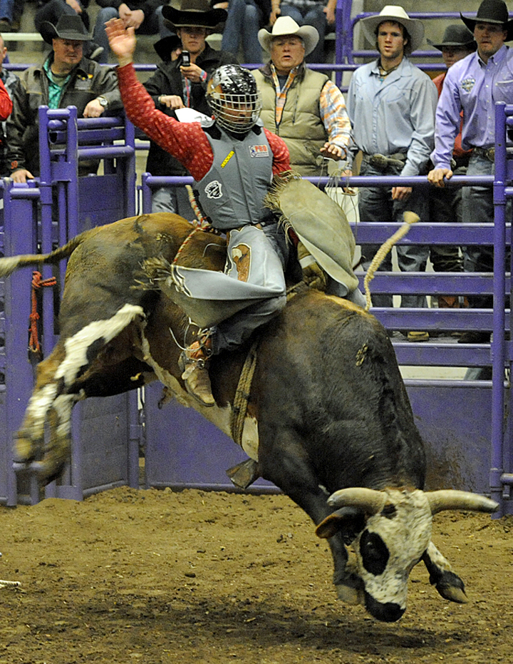 Sarah Midgorden Photography: At the Rodeo- CBR bull riding comes to ...