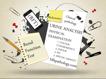 Physical Examination Of Urine | Urinalysis