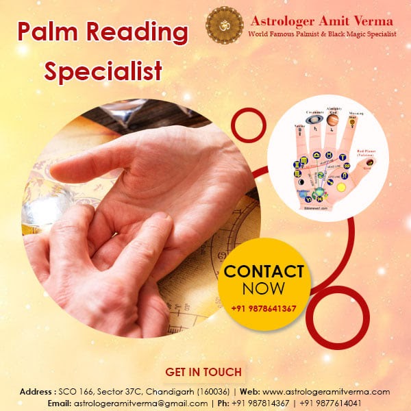 Best Palmist in Chandigarh