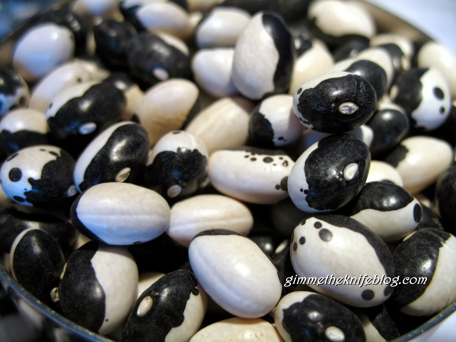 gimme the knife!: Caldo Verde (Kale Soup!) with Baer's Best 'Calypso' Beans