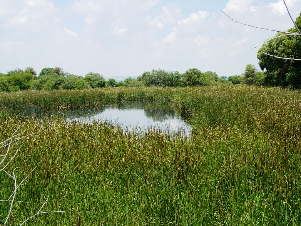 Conmemoramos el Día Mundial de los Humedales - Cortando por Lozano
