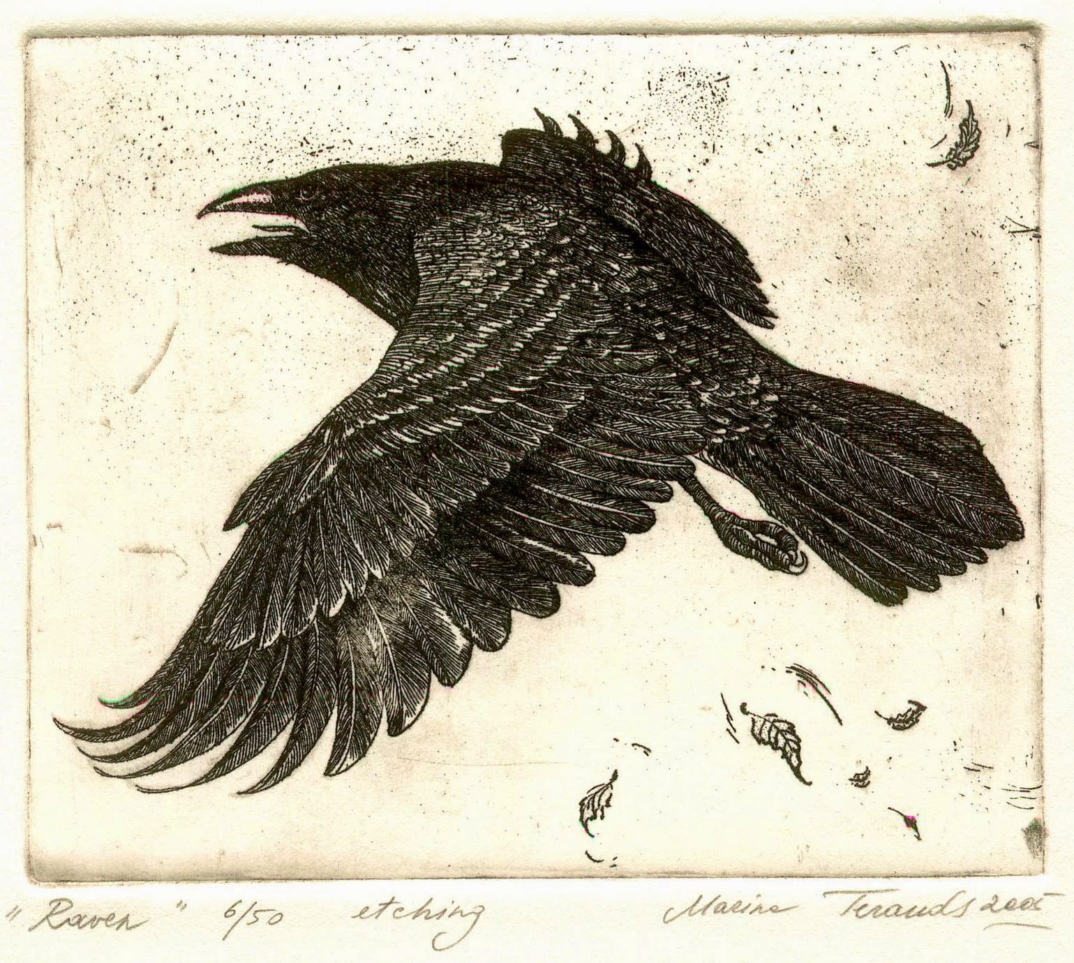 The Raven Reference Images