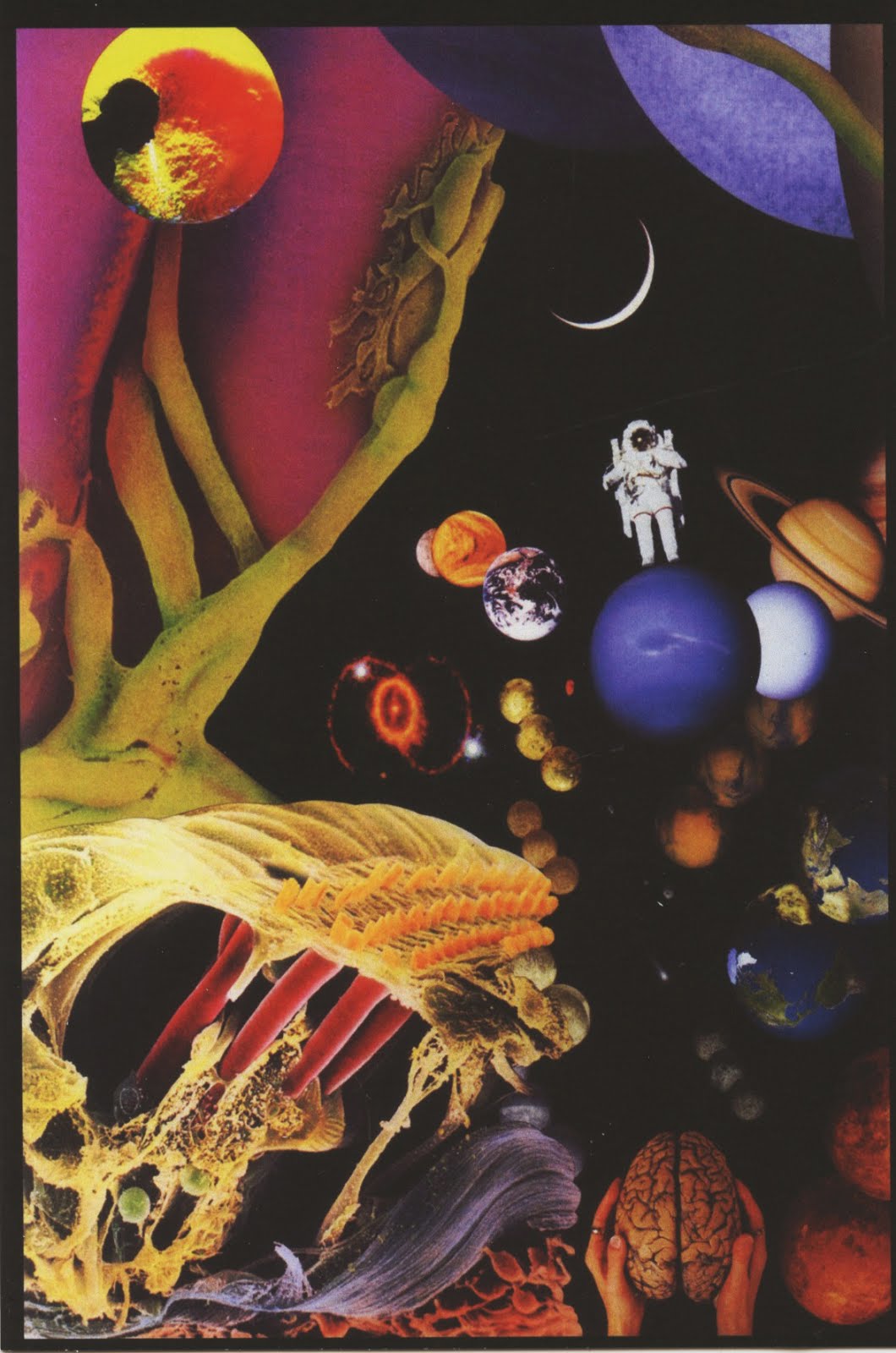 Random vs. Danger - Collage Art and Manipulation