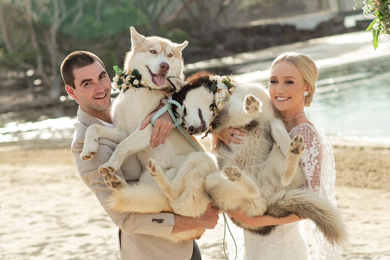 Pets at Weddings - The New Trend? | Australian Dog Lover