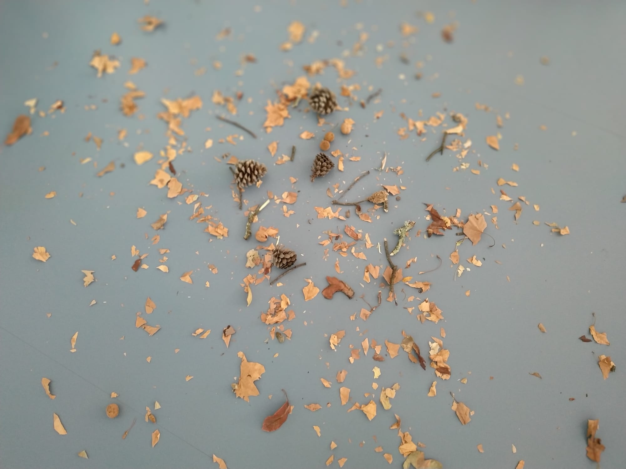 Escuela Infantil San Rafael: UNIDAD DIDÁCTICA "LLEGÓ EL OTOÑO"