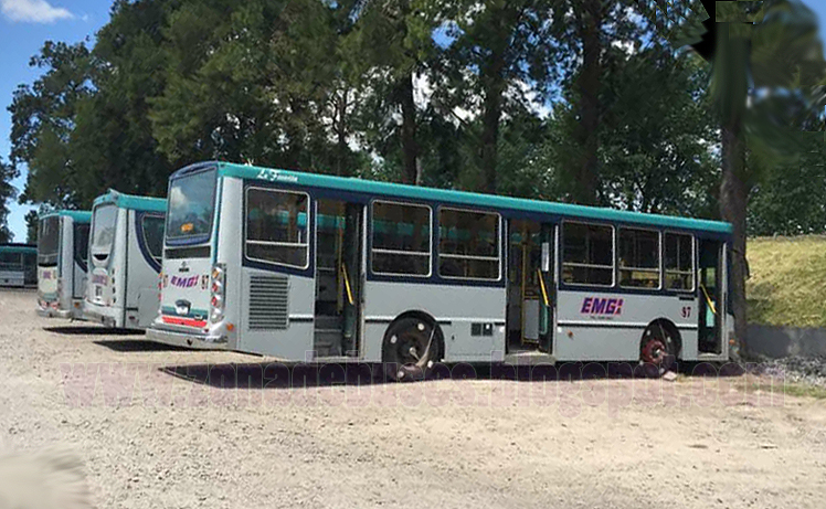Colectibus - Zona de Buses: LINEA 501
