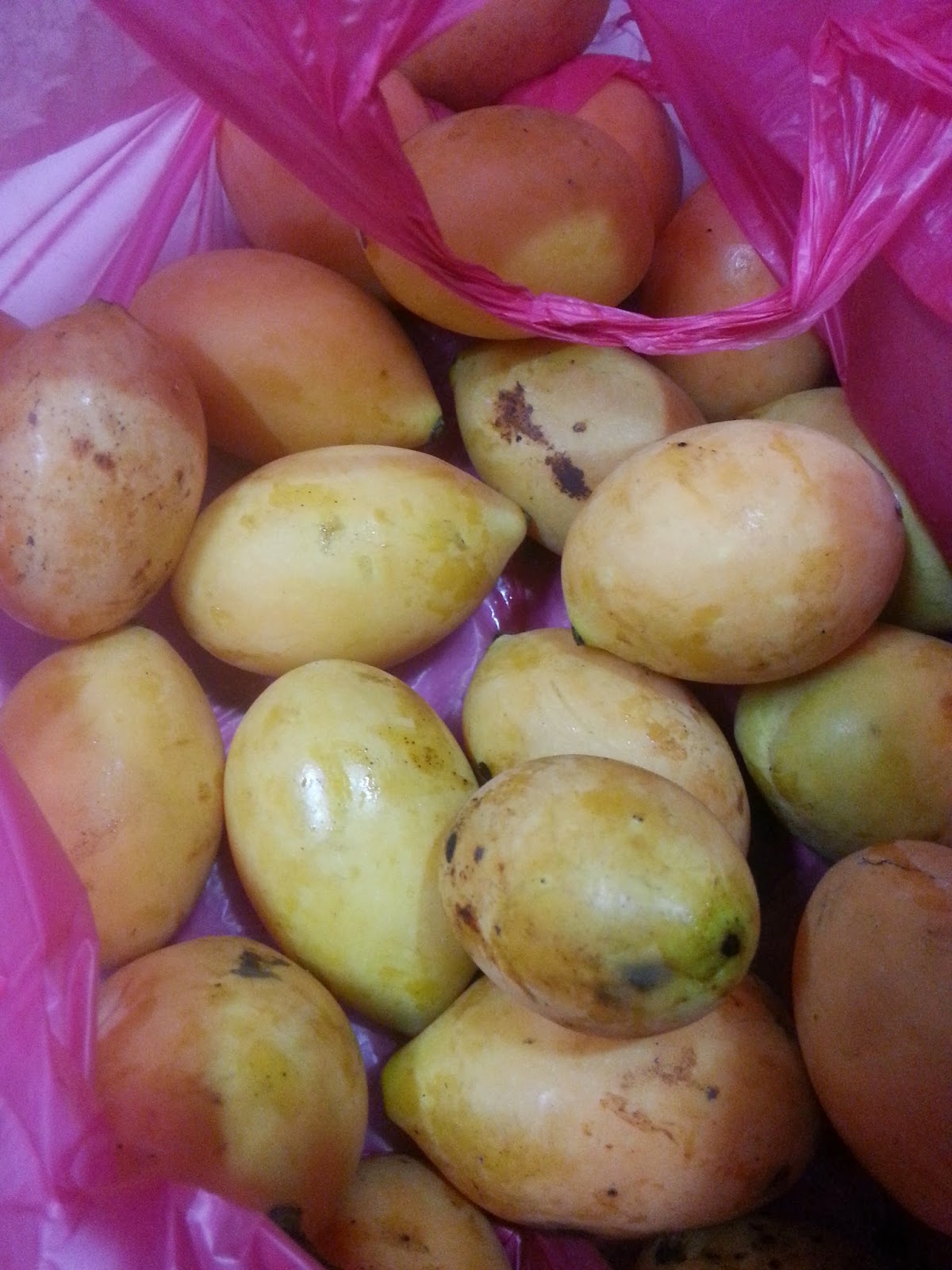 Tentang Hidup: Mengidam Buah Kundang