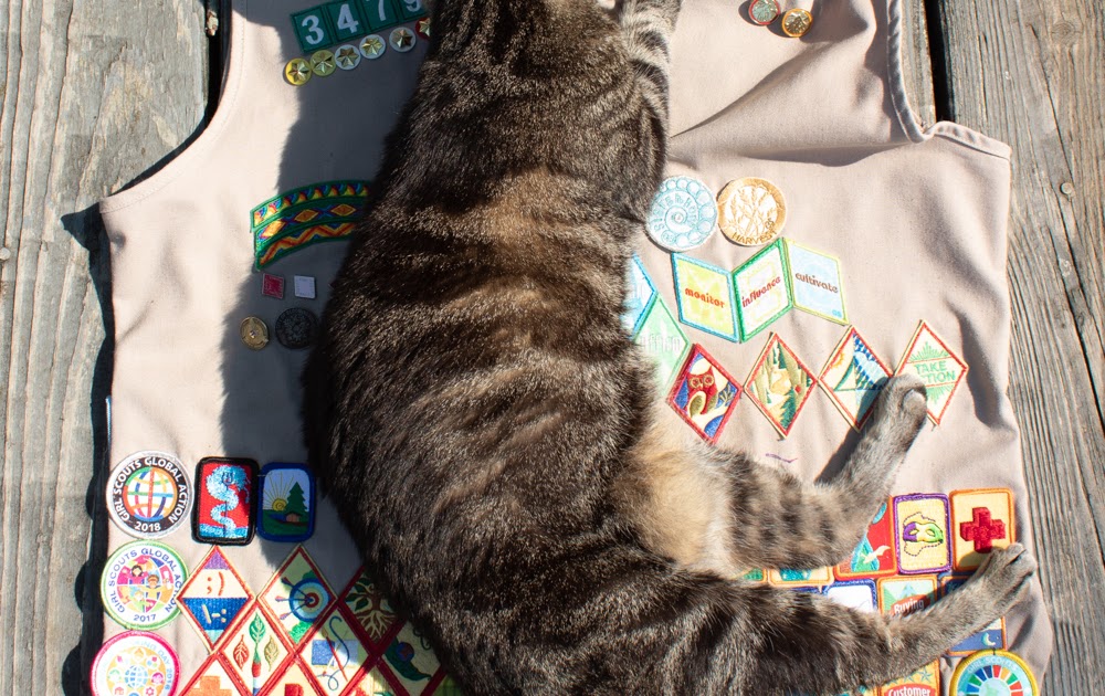 Craft Knife: And Now My Kid is Getting a Credit Card: Earning the Girl ...