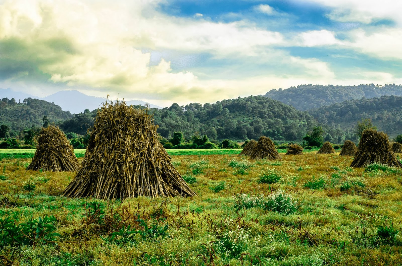 Jaime Ramos Méndez: Paisaje rural michoacano en la región de Zamora ...
