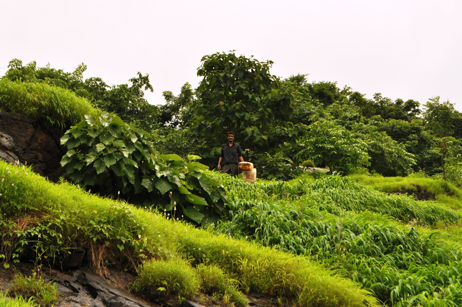 A small ride to a Mazar near Mumbra