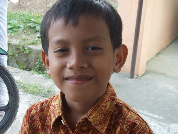 Keluarga Amin: Sejarah singkat