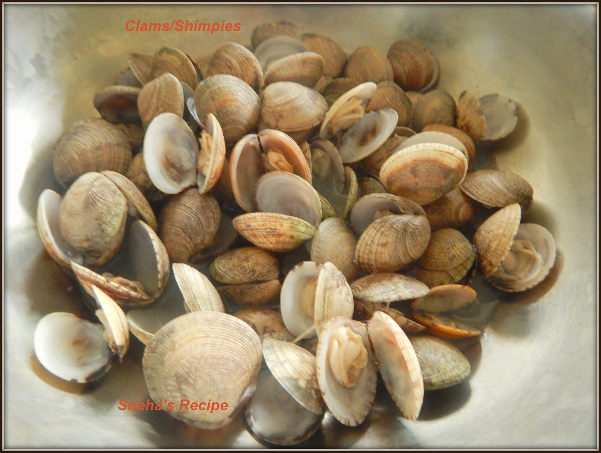East Indian Clams / Shimpies Curry#FishFriday - Sneha's Recipe