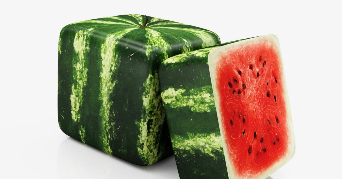 La fascinante Pastèque Cubique - ELMESMAR