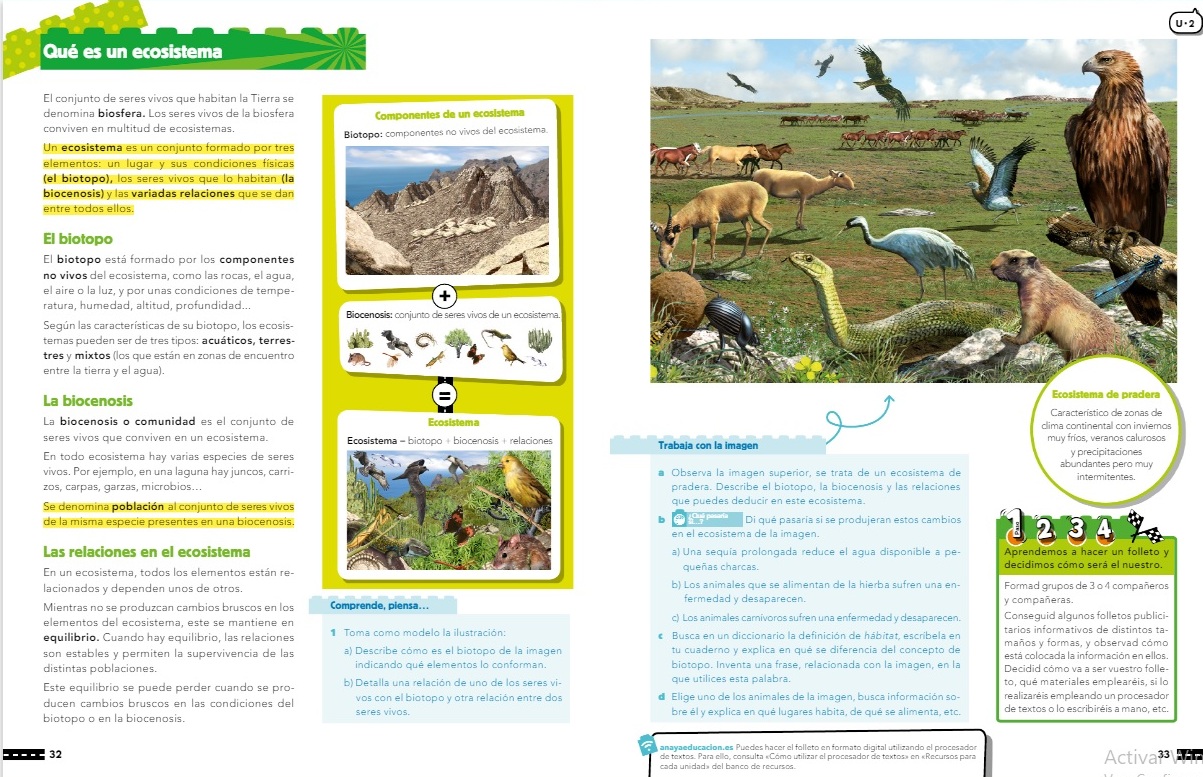 CURIOSEANDO en Vive la biblioteca: ECOSISTEMAS Y BIOMAS