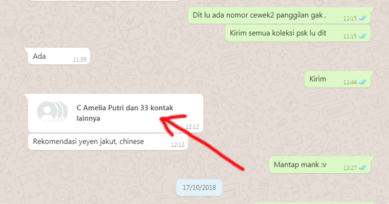 12 Nomor Whatsapp PSK Cewek Cantik - MeAplikasi